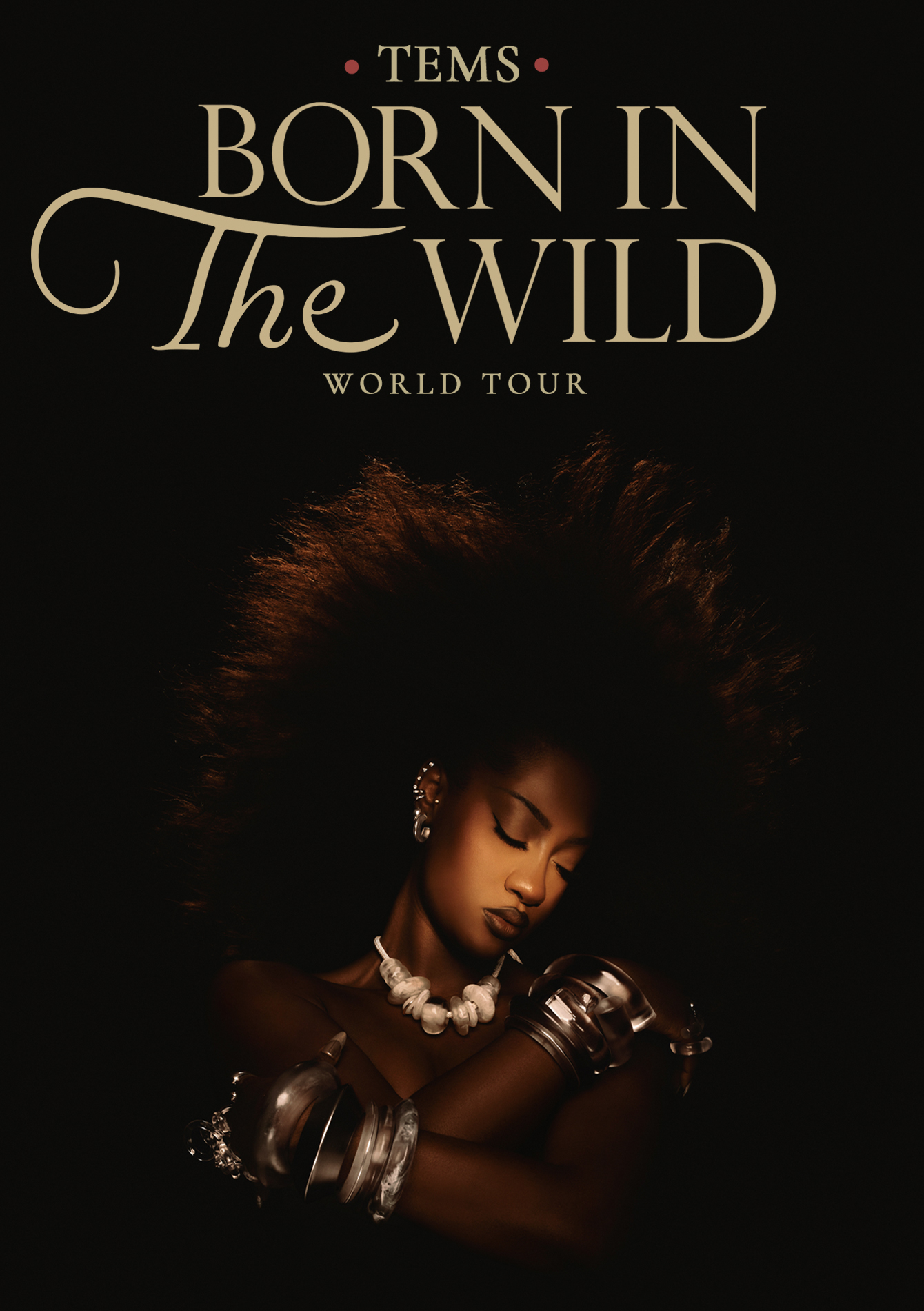 TEMS - The Hordern Pavilion